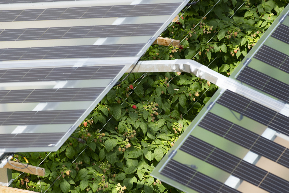 Neue VDE-AR-N 4105 - photovoltaik