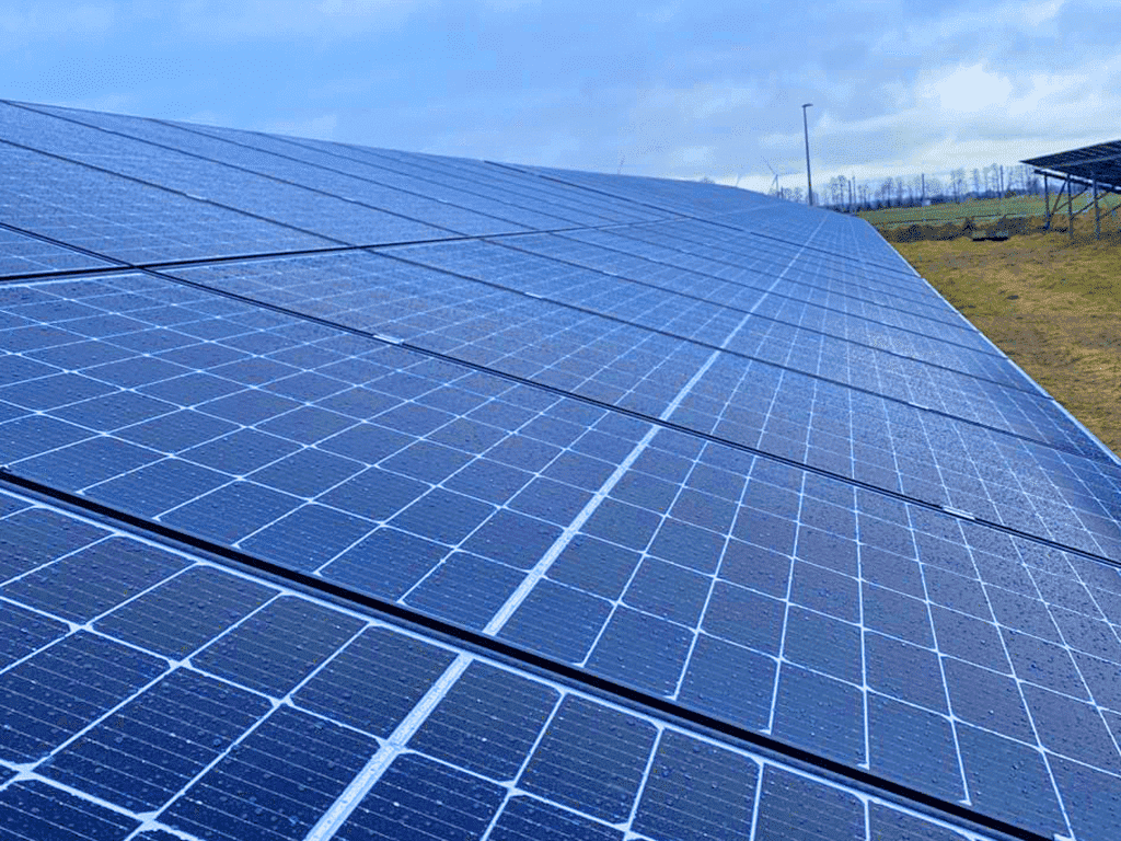 Tubesolar und Zinco kombinieren Photovoltaik mit Gründach - photovoltaik