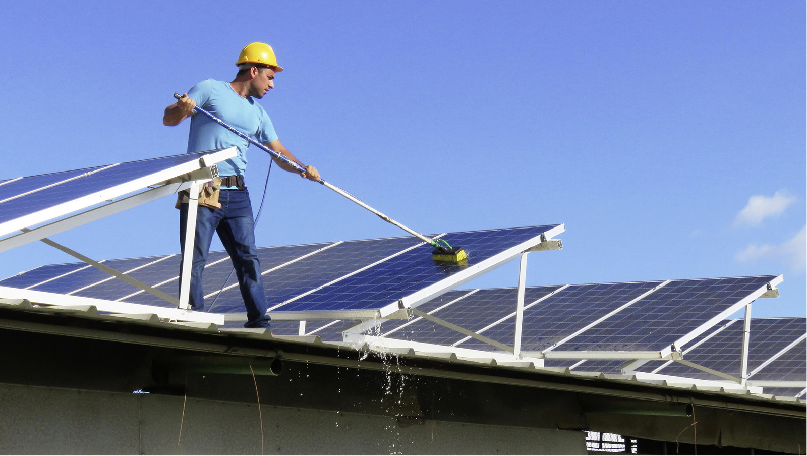 Tubesolar und Zinco kombinieren Photovoltaik mit Gründach - photovoltaik