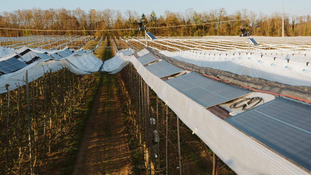 Fraunhofer ISE entwickelt leichte Module für Agri-PV-Anlagen